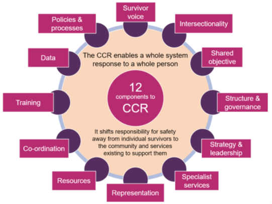 The Importance of a Coordinated Community Response in Ending Domestic Abuse