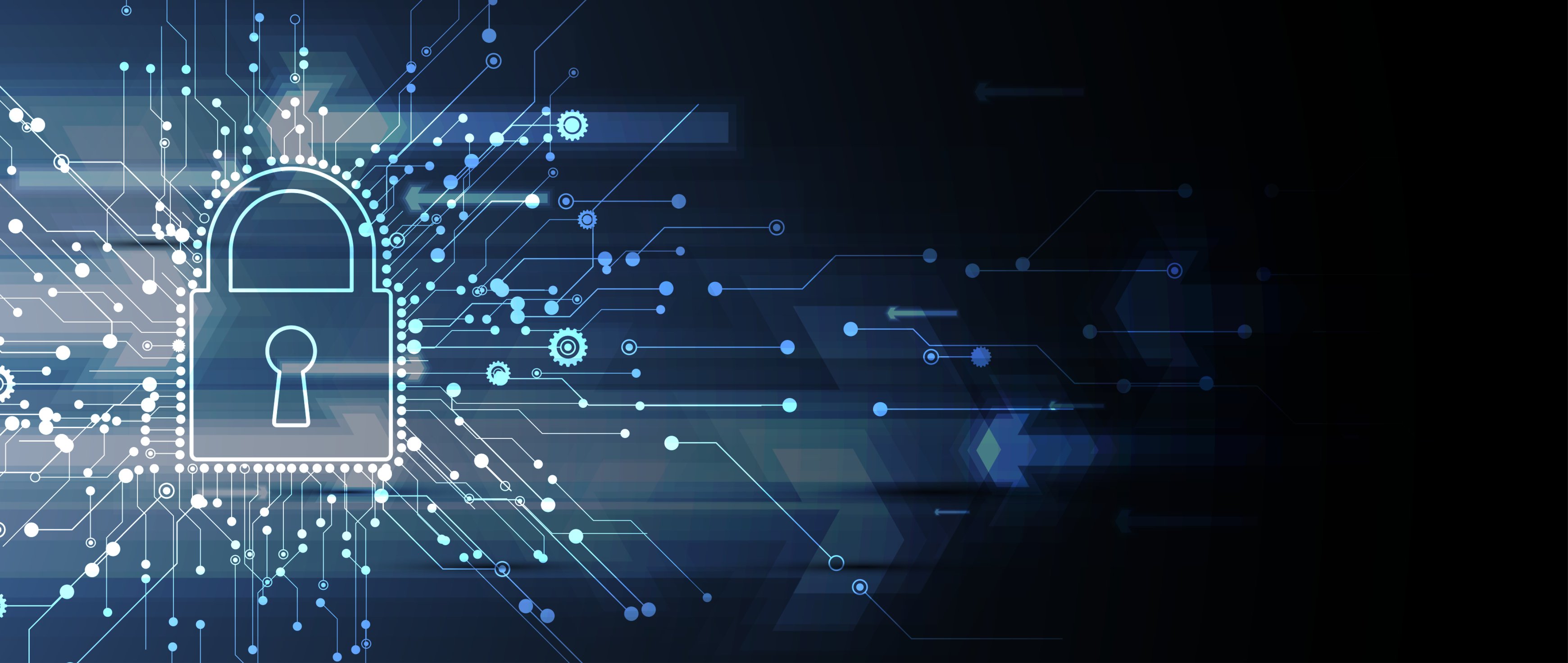 Unveiling the Principles of Information Security