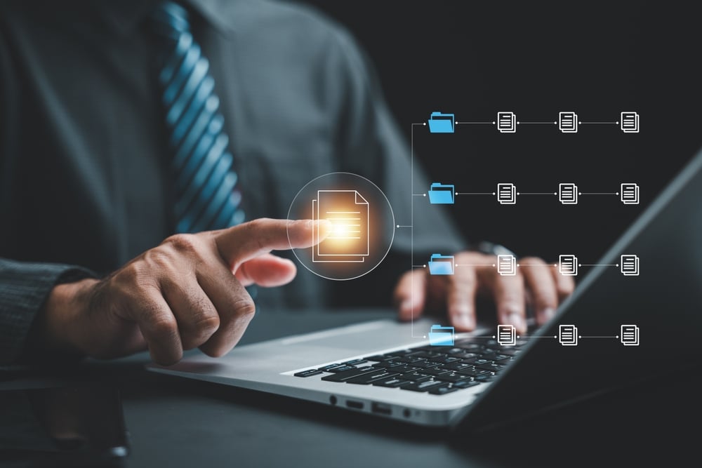 The Landscape of Local Government Digital Transformation