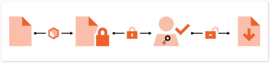The Afghan Files Incident: Essential Lessons for Government Data Security