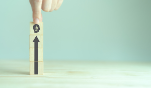 Building Capability Across the NHS: Government Counter Fraud Profession