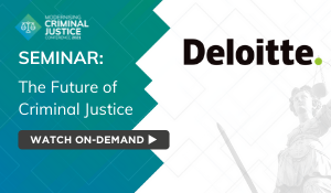 The Future of Criminal Justice: Challenges, Opportunities, and the Role ...