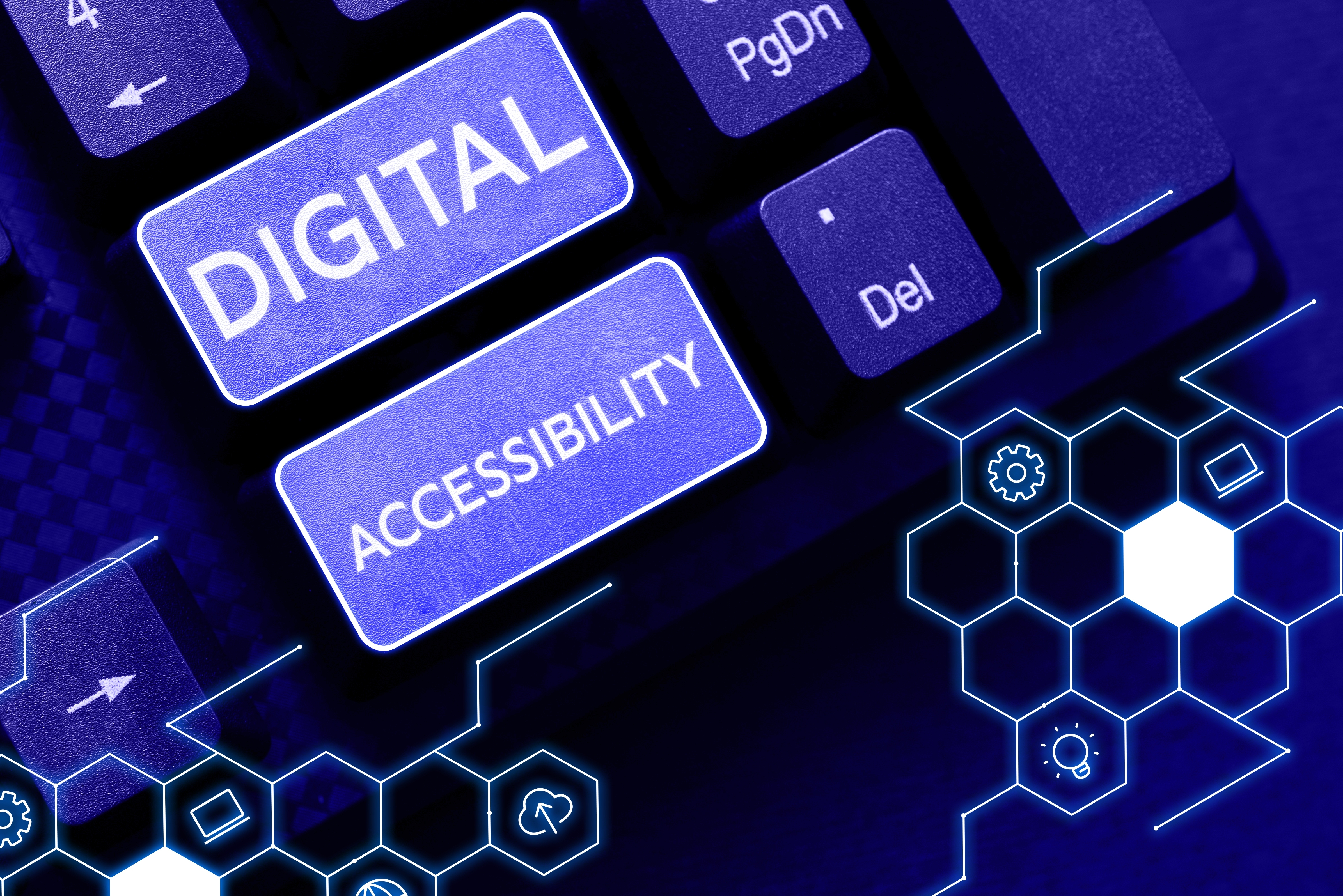 Unlocking Inclusivity: Navigating the Landscape of Digital ...
